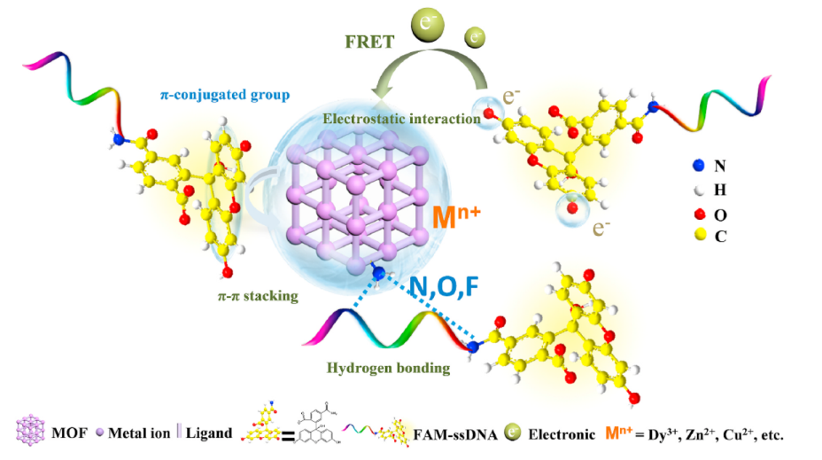 Bio Mater. | MOF在生物技术方面的应用 - 知乎