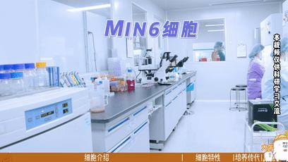 MIN6细胞培养，小鼠胰岛β细胞株培养攻略-丰晖生物 - 知乎