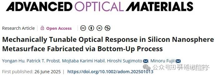 Adv. Optical Mater.：突破光刻限制！柔性介电超表面实现晶格共振动态“开关” - 知乎