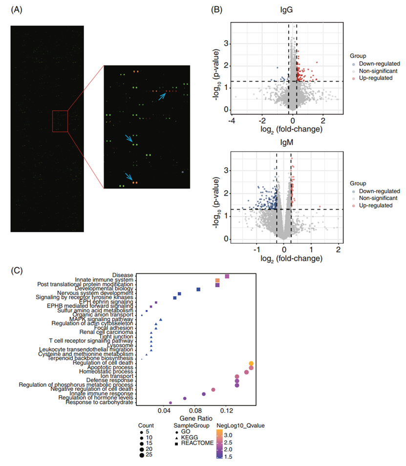 文献解读|Int. J. Cancer 蛋白质水平发现胰腺癌新的诊断标志物 - 知乎