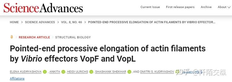 Science Advances：生吃海鲜易受弧菌属病原体感染，进而影响肌动蛋白发挥功能 - 知乎