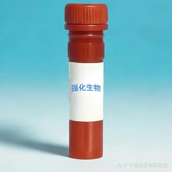 Human Dil-VLDL，VLDL的代谢过程 - 知乎