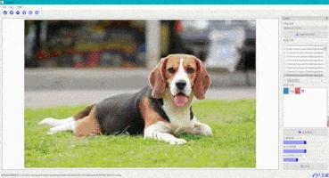 火爆 GitHub！这个图像分割神器开源了 - 知乎