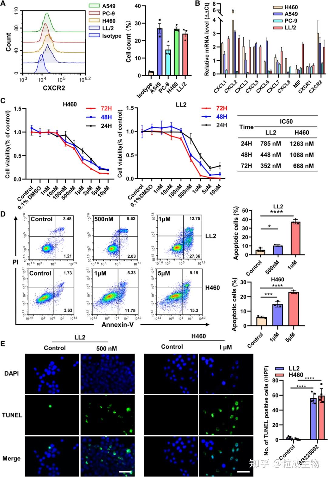 IF=41.444|靶向CXCR2抑制肺癌进展促进顺铂治疗效果 - 知乎
