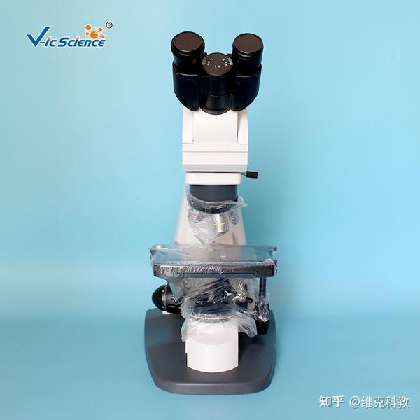 双目显微镜的构造及原理 - 知乎