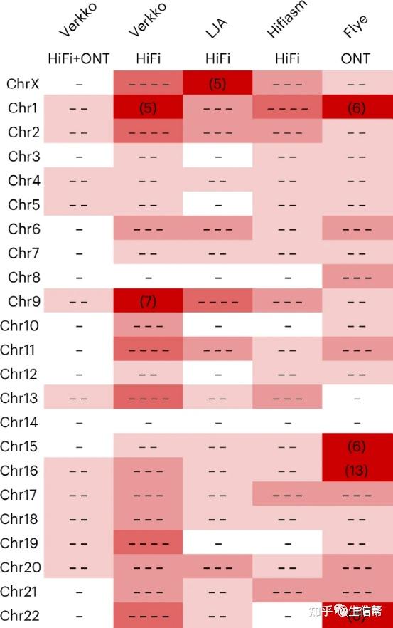 NBT|双倍体单体型T2T 组装神器Verkko - 知乎