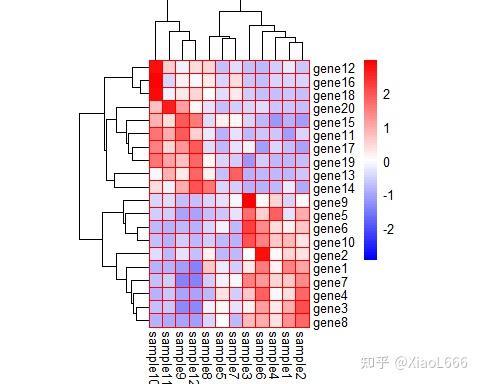 使用pheatmap包绘制热图 - 知乎