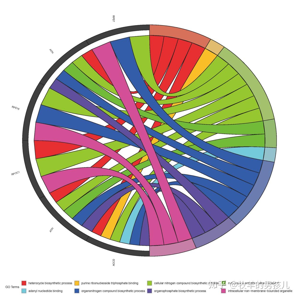 GO富集分析可视化：R语言GOplot包——准备自己的数据 - 知乎