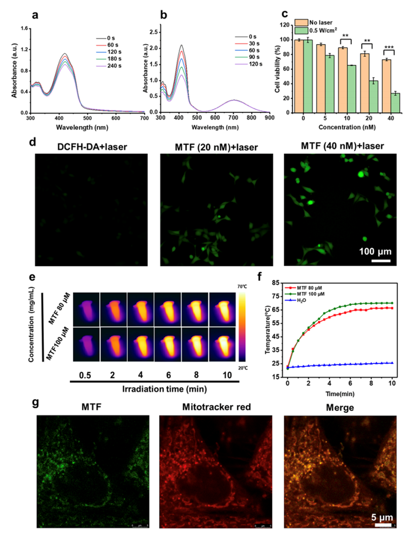 纳米探针 | 线粒体靶向NIR-II染料用于肿瘤成像引导的PDT/PTT - 知乎