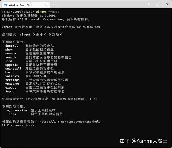 如何使用winget彻底替代各种管家的软件管理工具 - 知乎