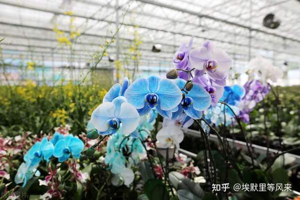高考如何选专业？冷门专业？ 知乎