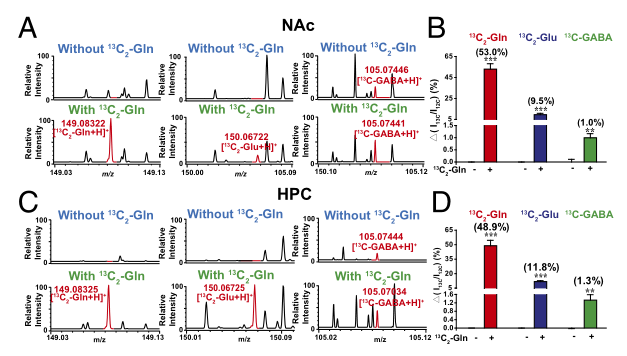 PNAS：单细胞代谢质谱实现活体神经元发育过程原位快速代谢监测 - 知乎