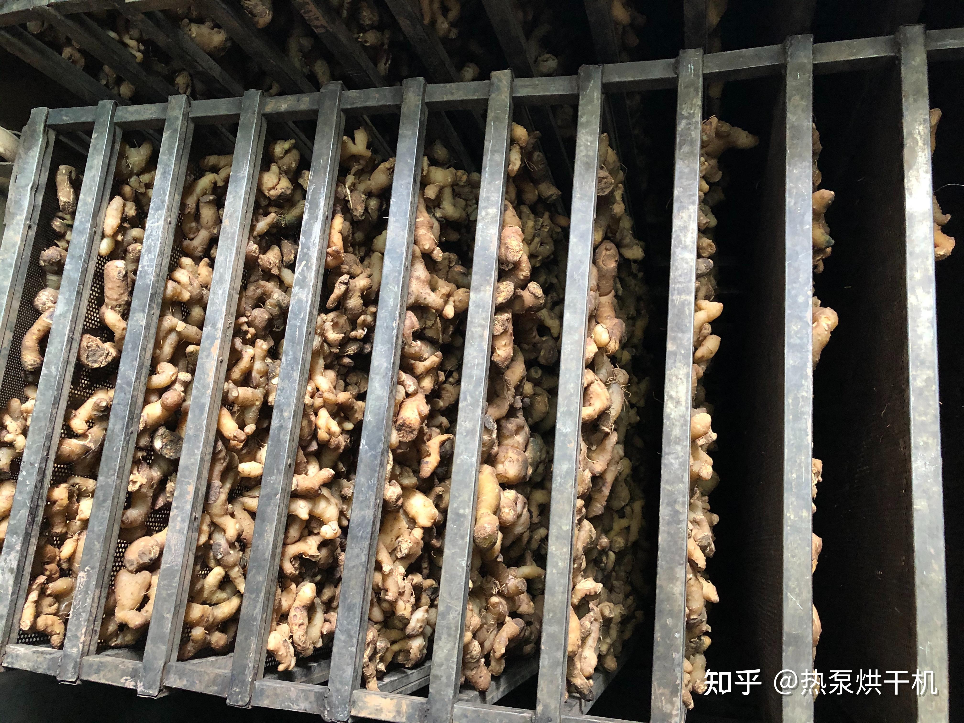 黄精烘干机，中药材干燥设备 - 知乎