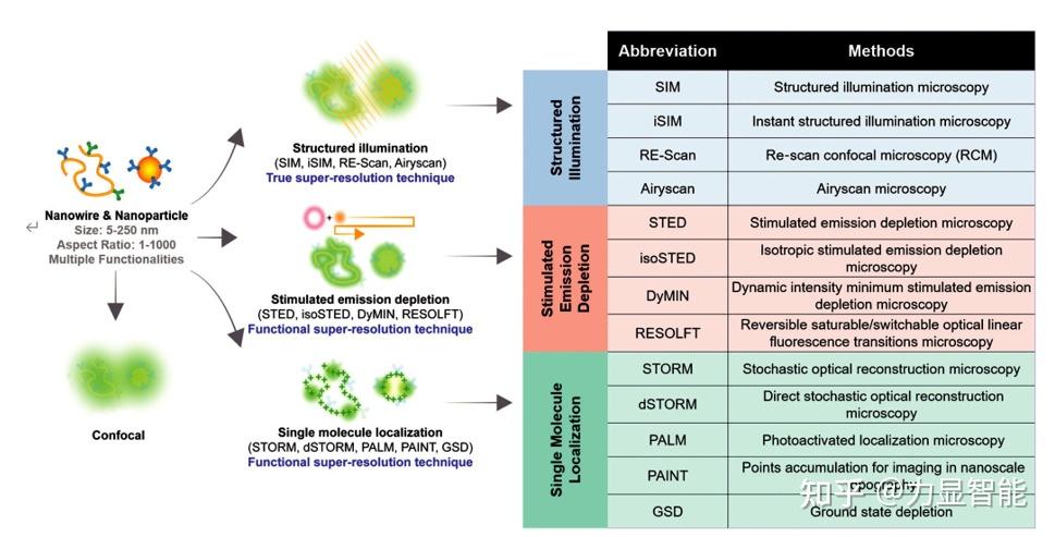 研究综述 | 用于研究纳米细胞相互作用的超分辨率荧光显微镜的进展 - 知乎