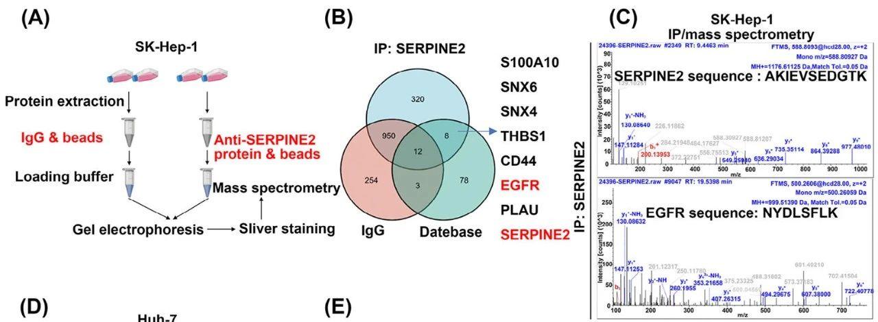 互作蛋白组学技术对比：邻近标记与传统IP-MS、Pull down-MS优势对比 - 知乎