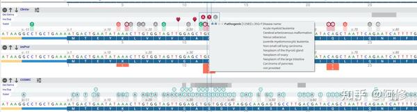 Alamut Visual Plus 个人体验 - 知乎