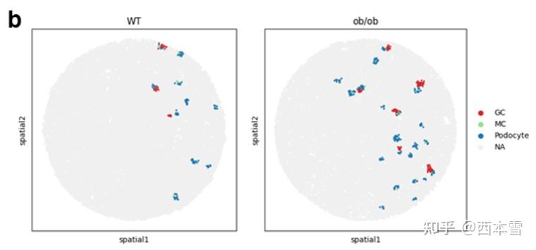空间转录组分析之Cell co-occurrence detection algorithm - 知乎