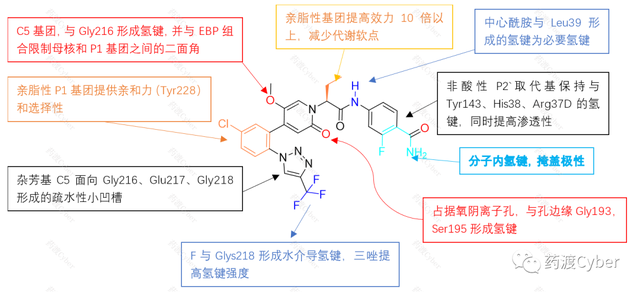拜耳开发的FXIa抑制剂Asundexian分子设计和优化详解 - 知乎