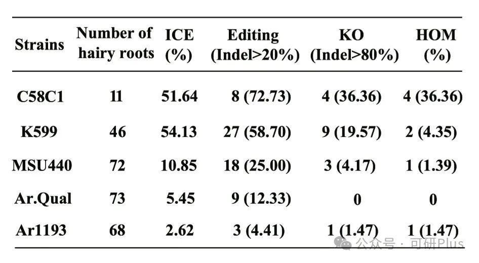 PBJ | 丹参CRISPR基因编辑取得重大突破，首次实现100%编辑效率！ - 知乎