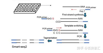 Smart-seq2单细胞全长转录组测序——技术详解 - 知乎