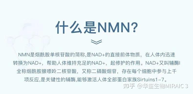 【科普】补充NMN，复原青春活力! - 知乎