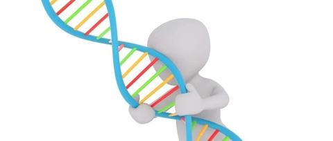 Oligo如何精准定量 - 知乎