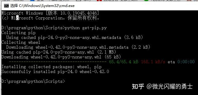Python安装后pip报错 知乎