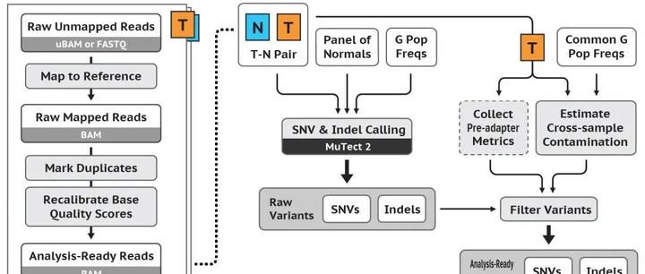 GATK教程 / 体细胞短变异检测 (SNV+InDel)流程概览 - 知乎