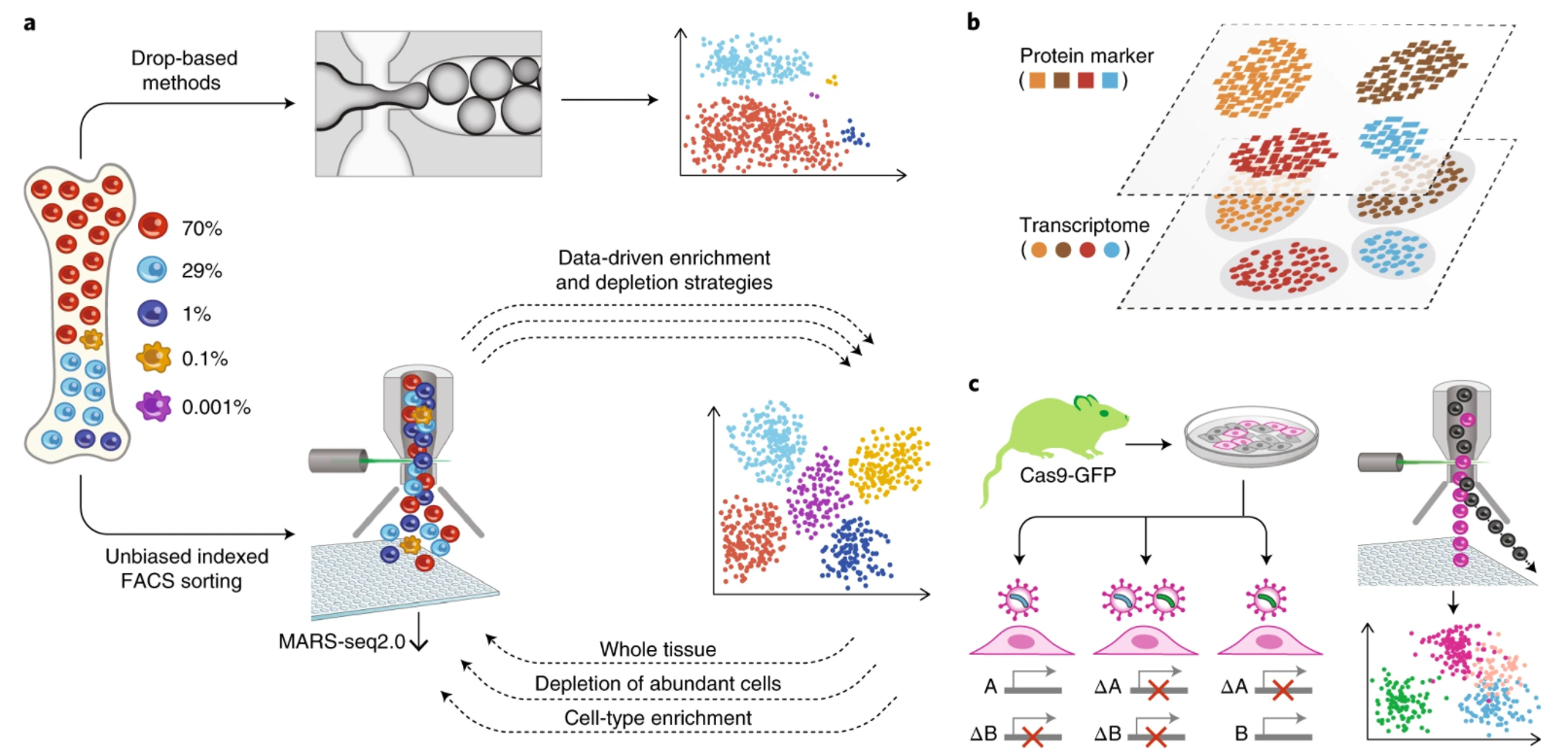 【豪克博士聊科研】教你单细胞测序（五）操作流程（4） - 知乎