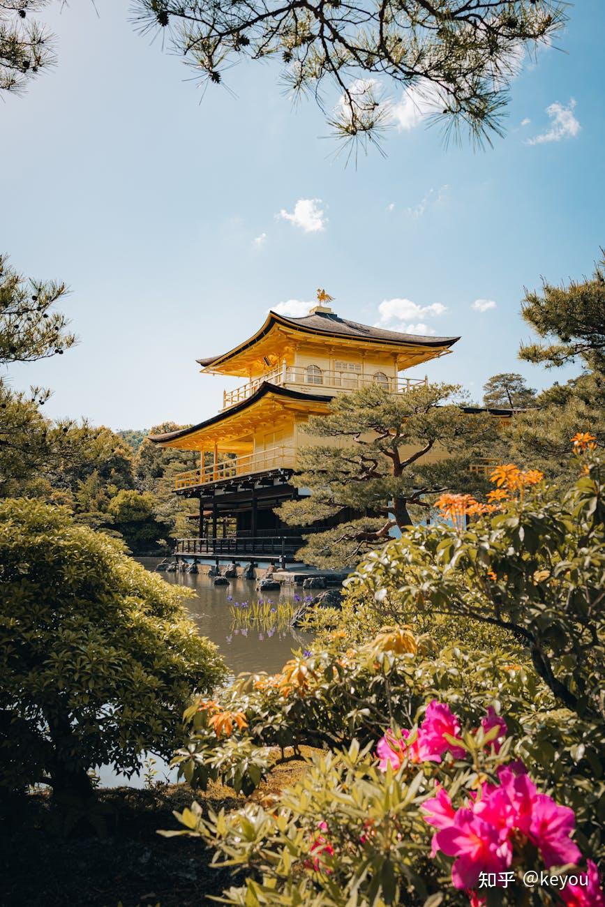 [完结14章]SpringCloud+Netty集群实战千万级 IM系统 - 知乎