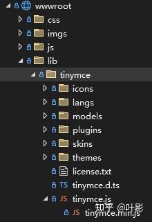 使用Blazor开发内部后台（七）：强大且友好的富文本编辑器TinyMCE - 知乎