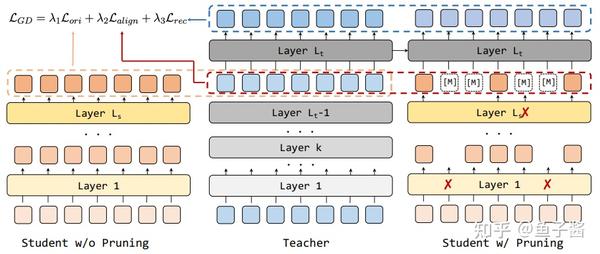 2024属于小模型！高性能SLM最新优化方案和热门应用分享，附配套模型和代码 - 知乎