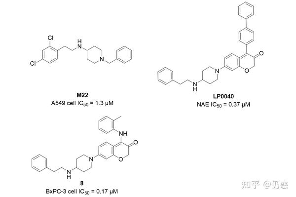 NEDD8活化酶(NAE)小分子抑制剂的研究进展 - 知乎