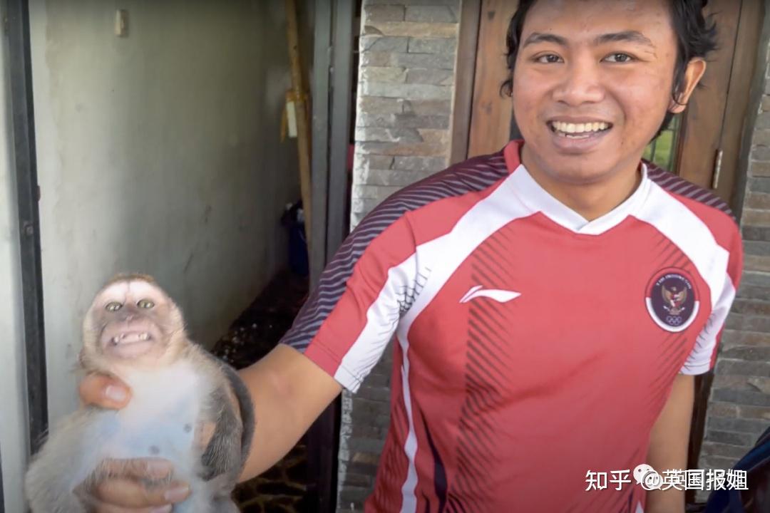 BBC揭恐怖跨国虐猴产业链！把小猴扔进搅拌机，拍斩首视频赚翻，观众还在疯狂叫好 - 知乎