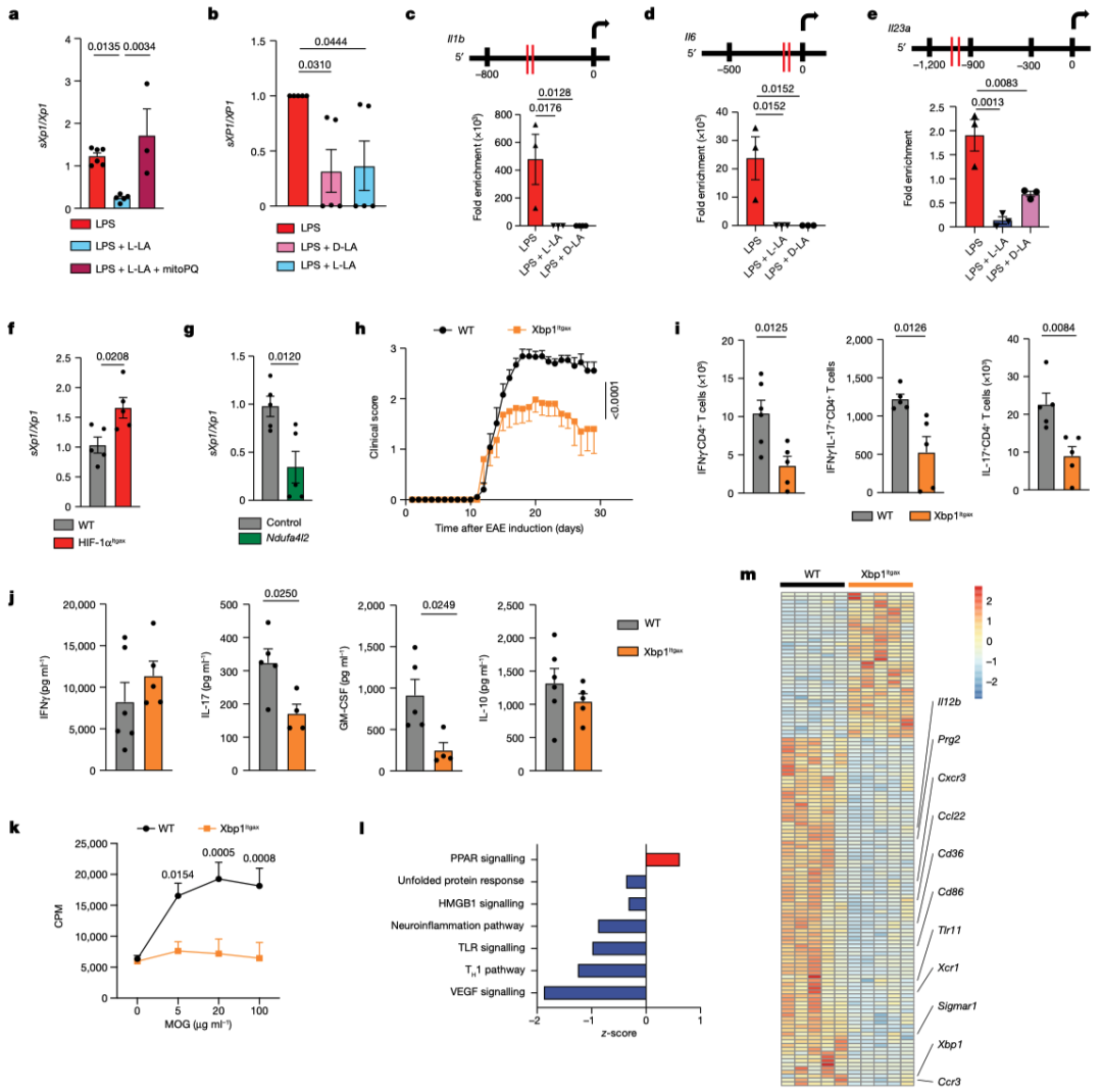 Nature丨乳酸通过稳定树突状细胞中的 HIF-1α 来限制 CNS 自身免疫 - 知乎