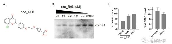 【新药进展】新发现一种口服小分子HBV cccDNA抑制剂 - 知乎