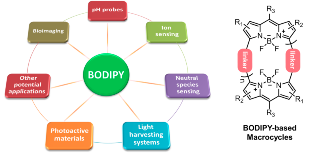 BODIPY 赋能大环芳烃：解锁分子探针的无限可能 - 知乎