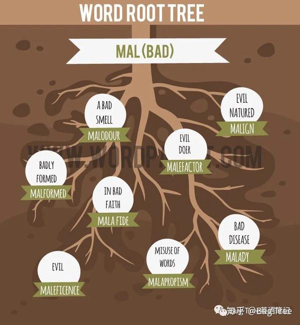 GRE高阶词汇速记——掌握表示"坏"的词根：mal- & dys- - 知乎