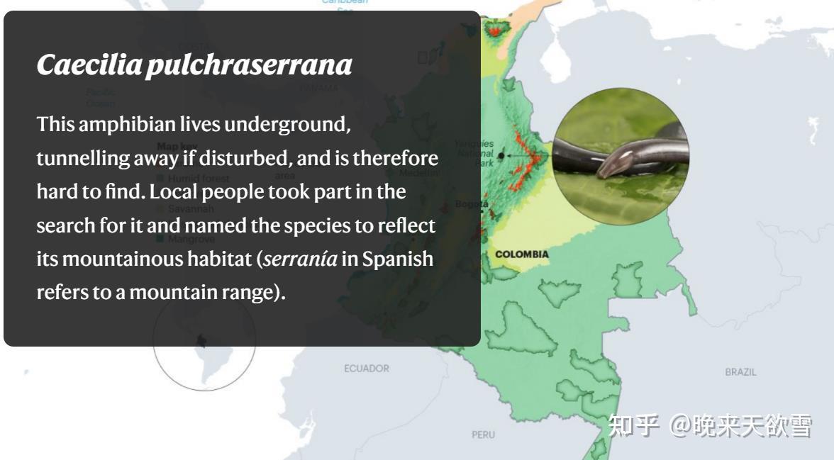 哥伦比亚的生态宝库（四） - 知乎