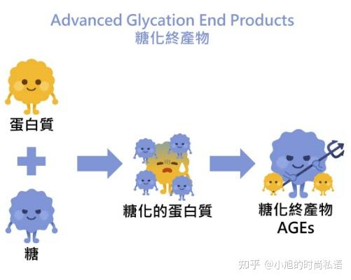 AGEs可与RAGE之间相互作用 - 知乎