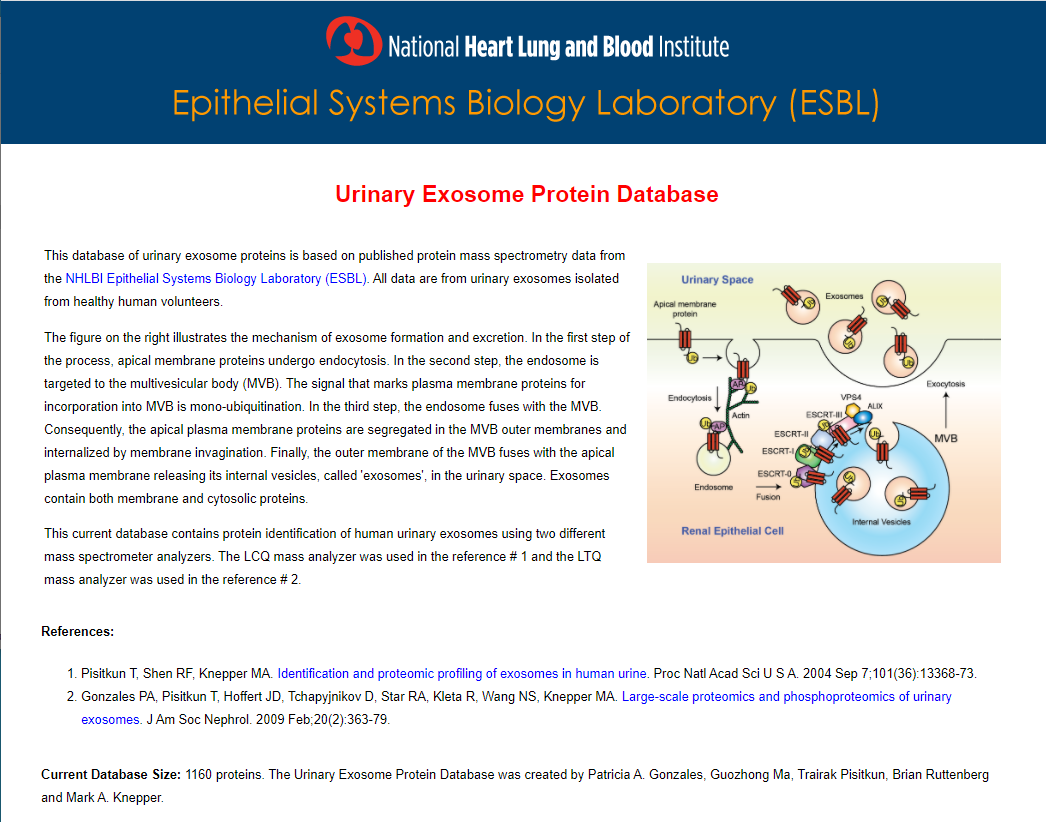 Urinary Exosome Protein Database ：尿液外泌体蛋白数据库 - 知乎