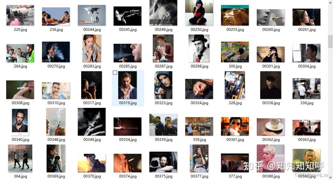 【目标检测数据集汇总】YOLO txt格式各种数据集 - 知乎