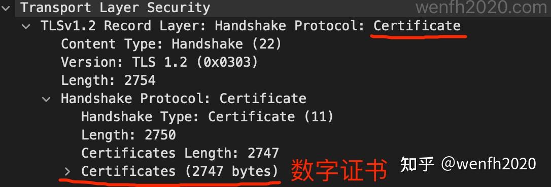 浅析 TLS（ECDHE）协议的握手流程（图解） - 知乎