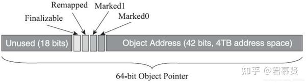 一篇文章彻底搞懂GC - 知乎