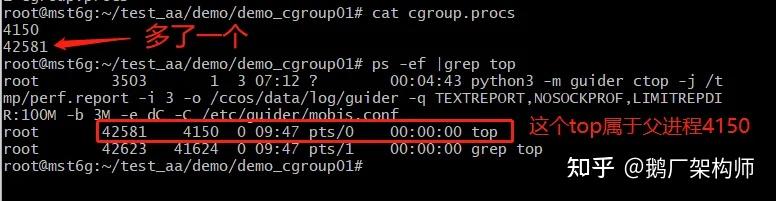 Cgroup使用介绍 知乎