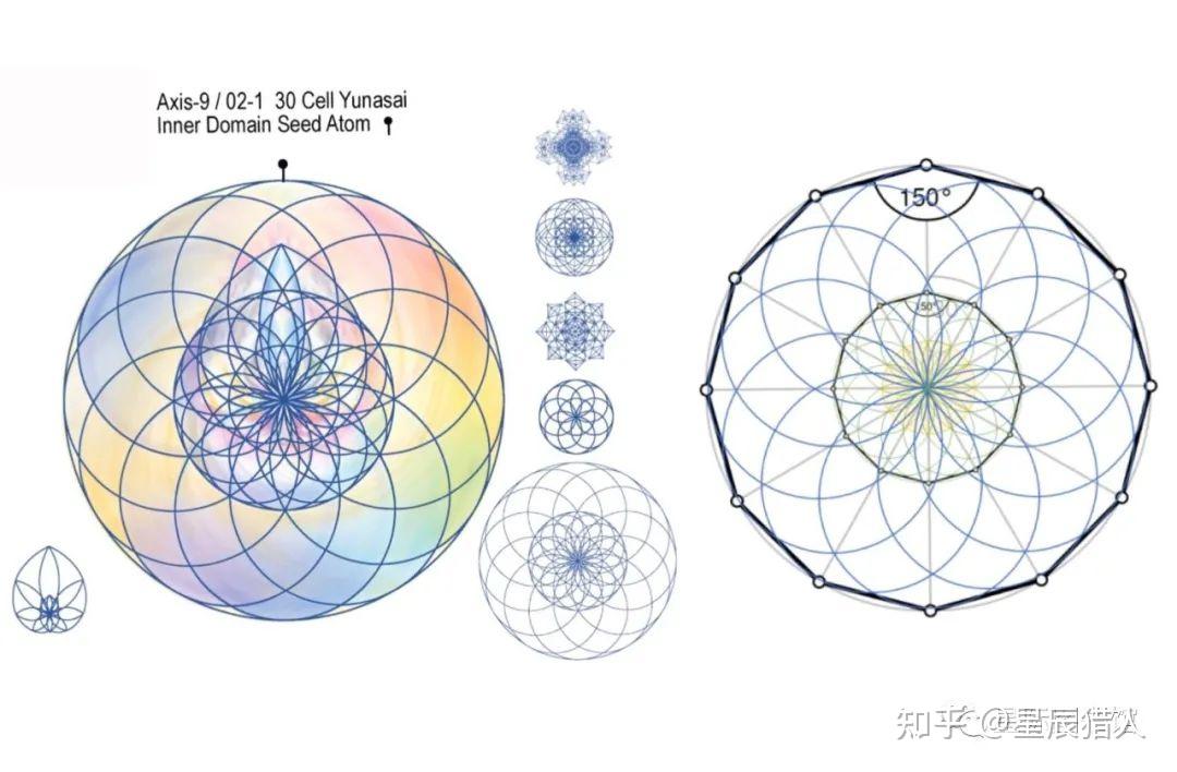 生命之花的真相是透特散布的死亡之花（超越矩阵-神圣几何五） - 知乎