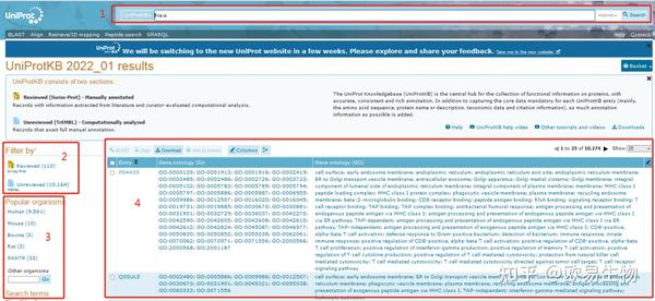 用一个蛋白叩开uniprot的大门——uniprot入门手册 - 知乎