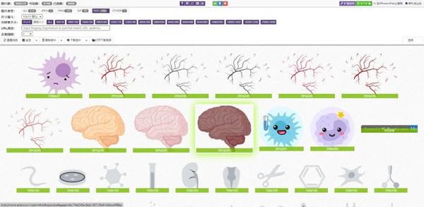 又一个生物与医学PPT素材神器：BioRender - 知乎
