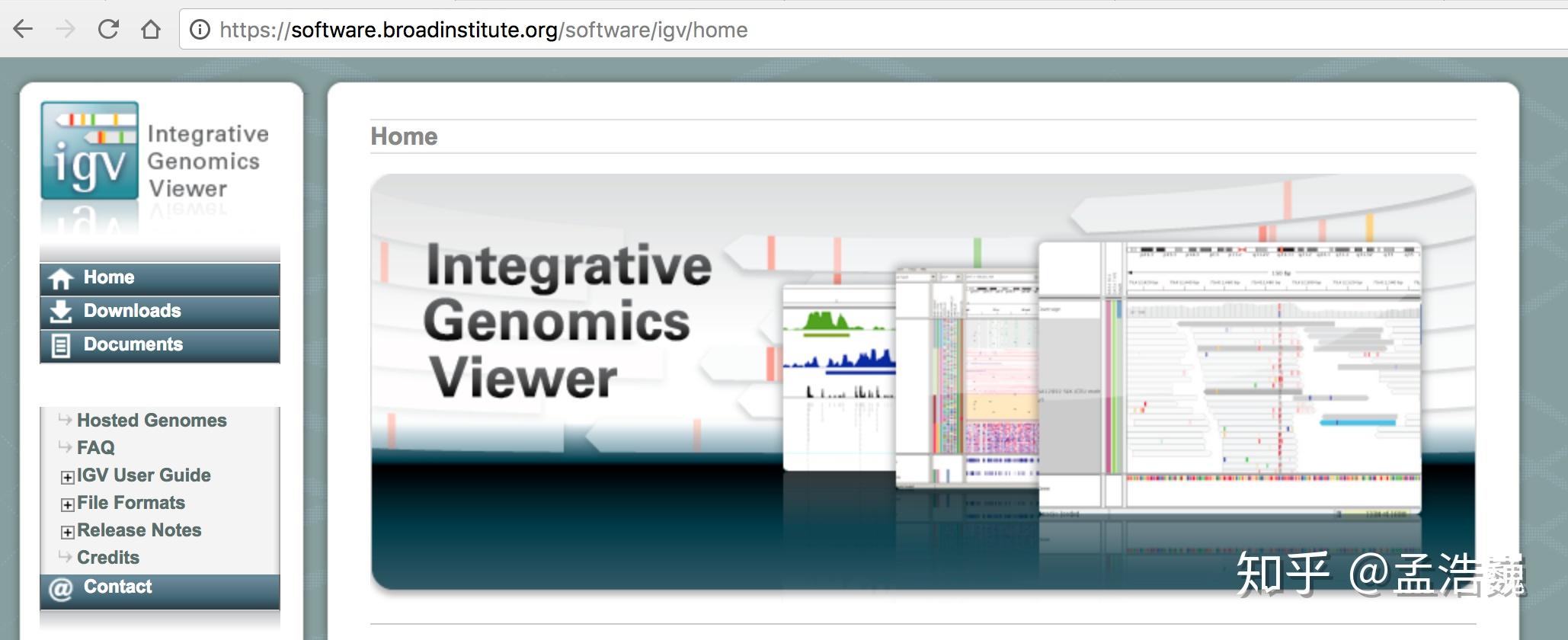 生物信息学100个基础问题 —— 第29题 如何使用IGVTools对mapping结果进行可视化？ - 知乎