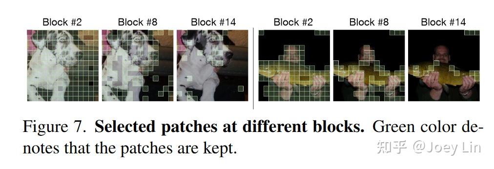 AdaViT: Adaptive Vision Transformers for Efficient Image Recognition - 知乎